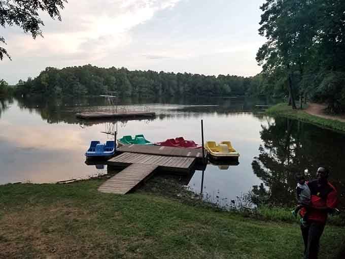 Colorful paddleboats at dusk make Chewacla's lake look like a floating crayon box nobody wants to put away.