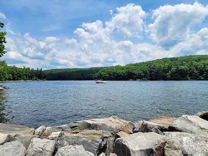 A lone motorboat drifts across Deep Creek Lake's sparkling summer water, framed by ridges of deep green forest stretching toward the sky.