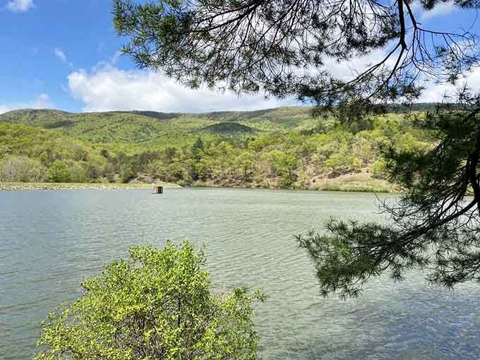 Framed by pine boughs, Douthat Lake shimmers against those rolling green ridges like a postcard that actually exists.