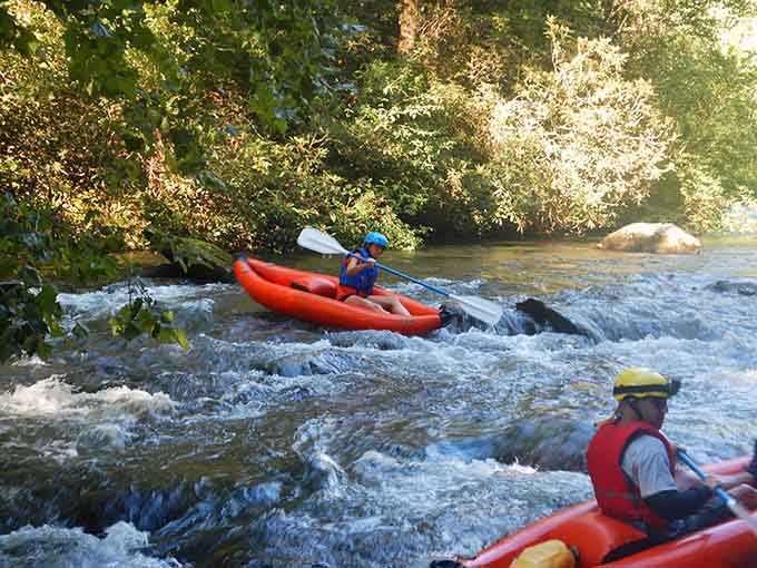 Golden light filters through the forest as rafters navigate sparkling rapids with skill and determination.