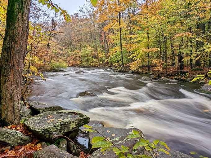 The Black River rushes through autumn's glory, moving faster than a New York minute but infinitely more peaceful.