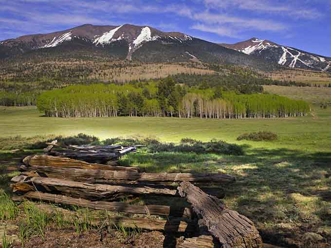 Snow-capped peaks rise behind a lush spring meadow at Hart Prairie, making Arizona look suspiciously like Switzerland.