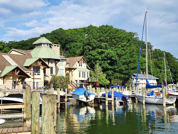 Saugatuck's harbor glows with summer green, sailboat masts reaching skyward like exclamation points on a perfect Michigan afternoon.