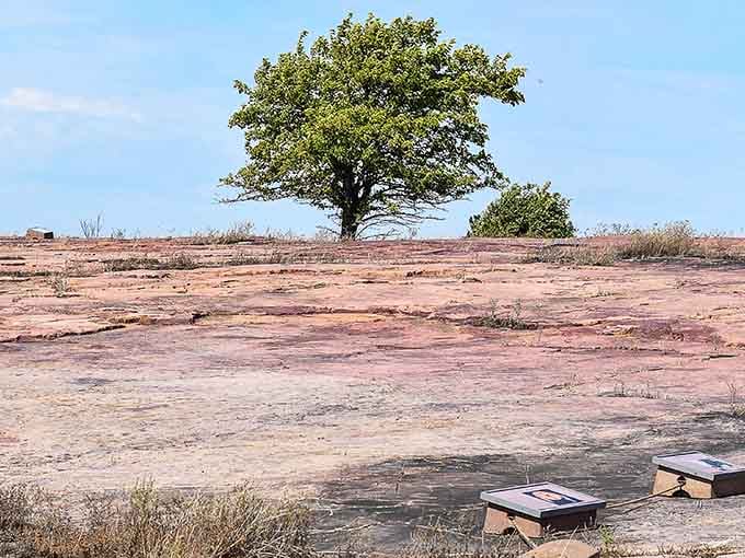 Ancient pink quartzite stretches endlessly under open sky, holding stories older than any book ever written.
