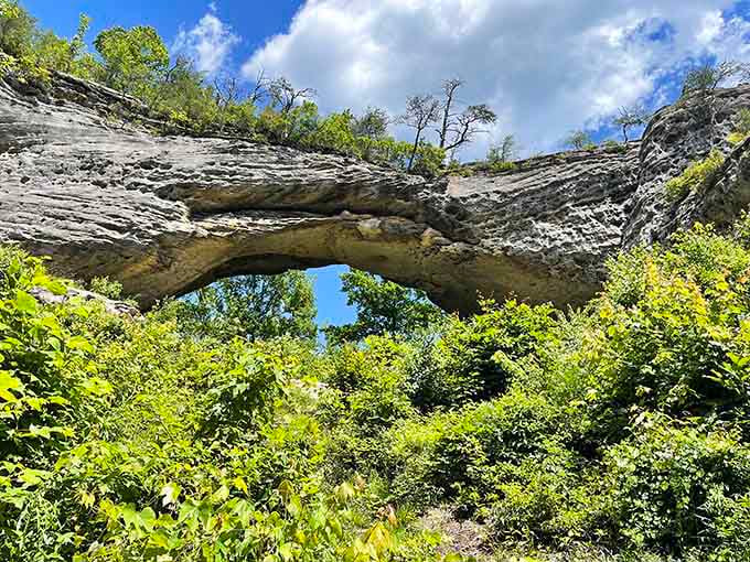 Nature spent millions of years sculpting this massive stone bridge, showing off like the ultimate overachiever it is.