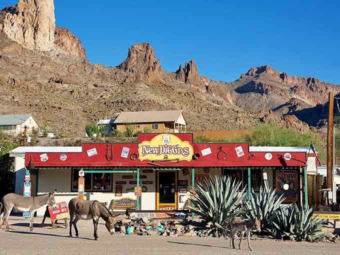 Three burros strolling past New Diggins like they own the whole block, because in Oatman, they basically do.