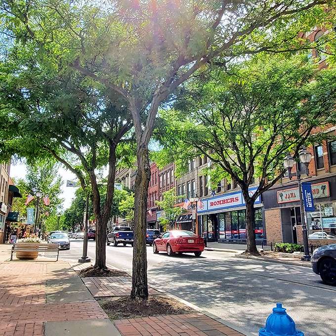 Sunlight filters through Oneonta's leafy canopy like nature's own spotlight, illuminating a downtown that clearly loves showing off.