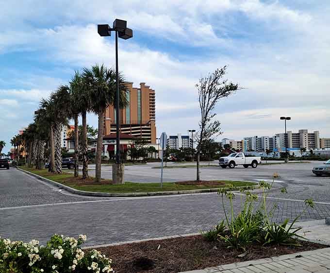Palm trees swaying in the coastal breeze signal you're close to fresh seafood and endless summer vibes.