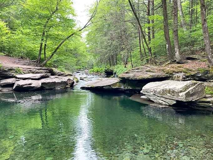 Crystal-clear water mirrors a lush forest canopy overhead, creating a serene Catskill swimming hole that feels genuinely otherworldly.