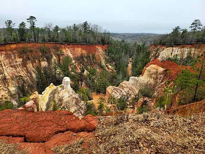 Mother Nature's paint palette went wild here with rust reds, creamy whites, and burnt orange canyon walls.