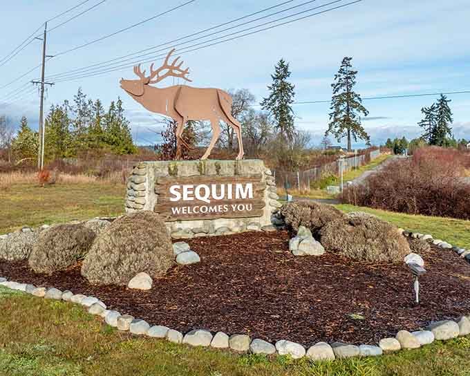 That proud elk silhouette on the Sequim welcome sign says it all: something genuinely wild and wonderful awaits you here.