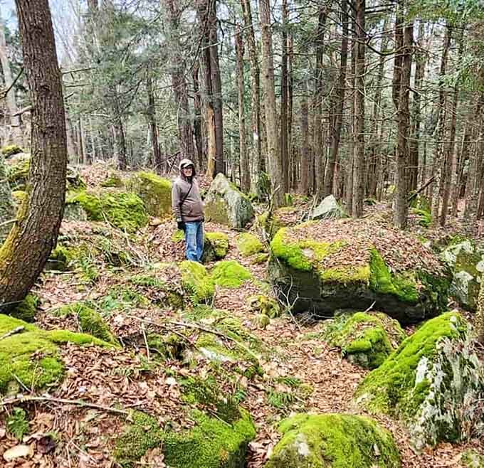 Standing among moss-covered boulders in these quiet woods, you realize some discoveries genuinely reward the curious soul.