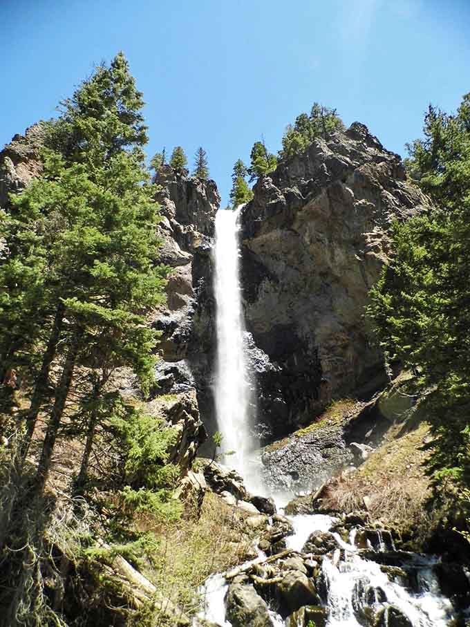 Treasure Falls earns its name the moment that tall, slender ribbon of white water appears through the San Juan pines.