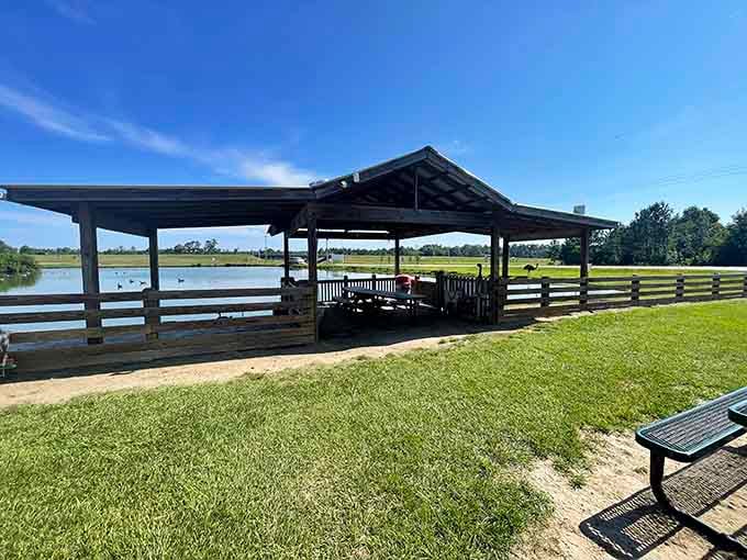 This peaceful pavilion overlooks ponds where you can actually relax without checking your phone every five minutes.