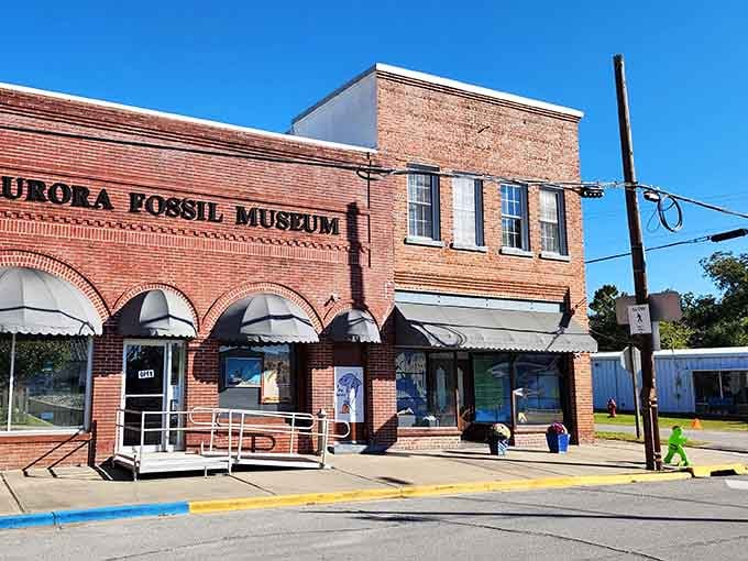 The Aurora Fossil Museum stands as proof that even small towns can hold big surprises in brick buildings.