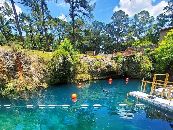 Jagged limestone walls rising above vivid blue water on a sunny afternoon, Blue Grotto earns every bit of its legendary reputation right here.