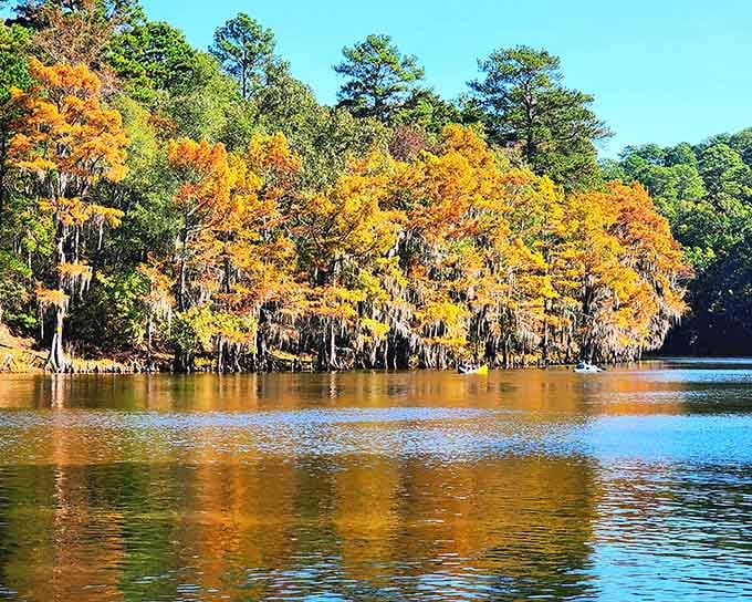 Blazing orange cypress trees reflected in still dark water &mdash; fall at Caddo Lake is nature showing off shamelessly.