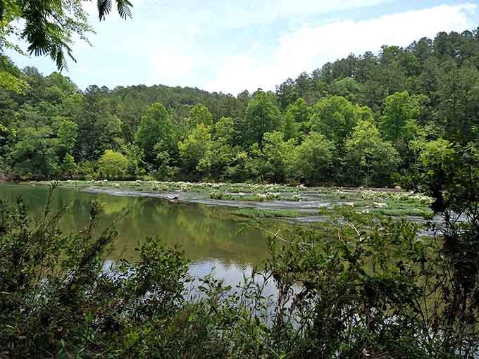 Lush treetops mirror perfectly in still water, framing a river scene that belongs on a nature calendar.