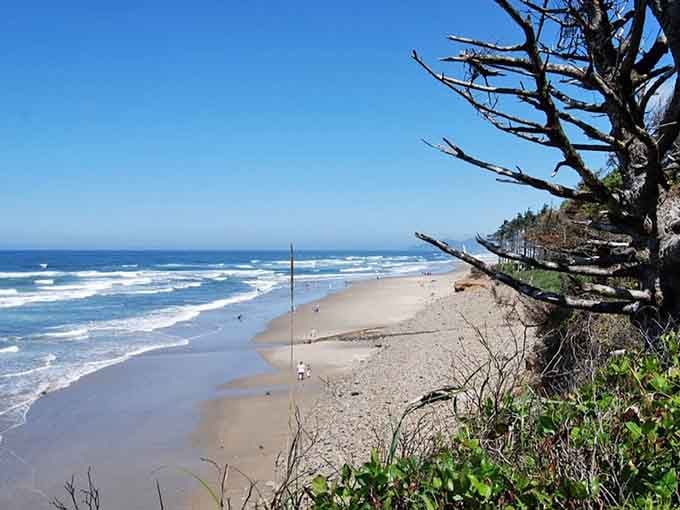 Miles of sandy beach meet rolling waves where patient whale watchers scan the surf for those telltale spouts.