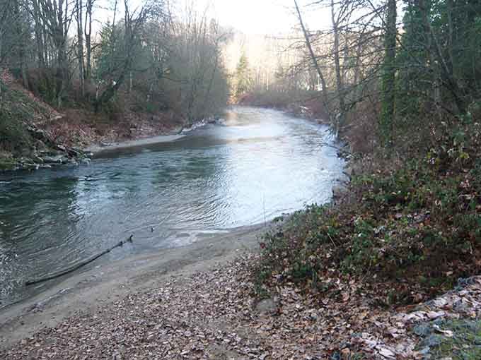 The river curves through wooded banks as gentle light illuminates the path ahead, promising hours of peaceful drifting downstream.