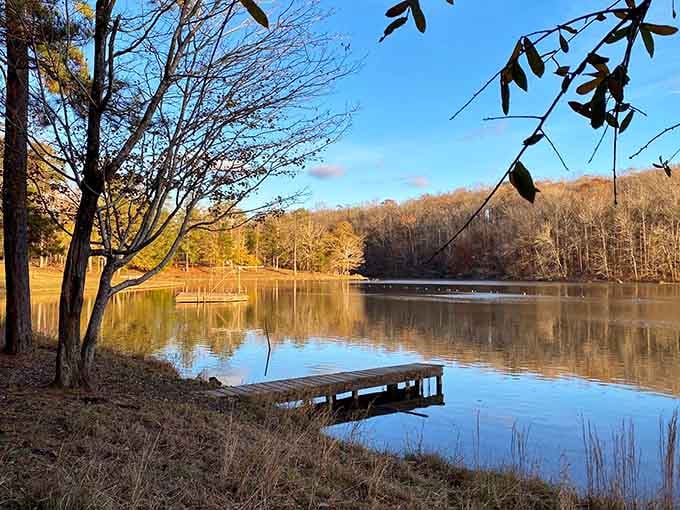 Golden autumn light drapes Chewacla's quiet shoreline like nature decided to show off one last time before winter.