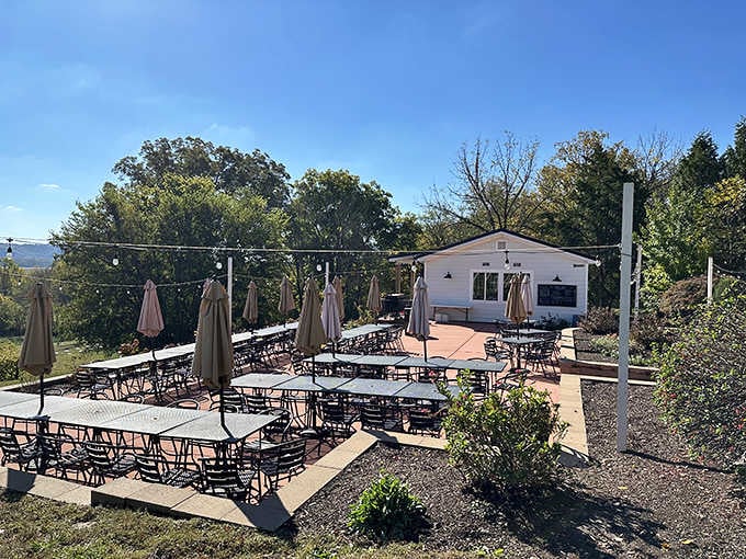 String lights, open sky, and hilltop tables at Defiance Ridge create an outdoor dining dream.