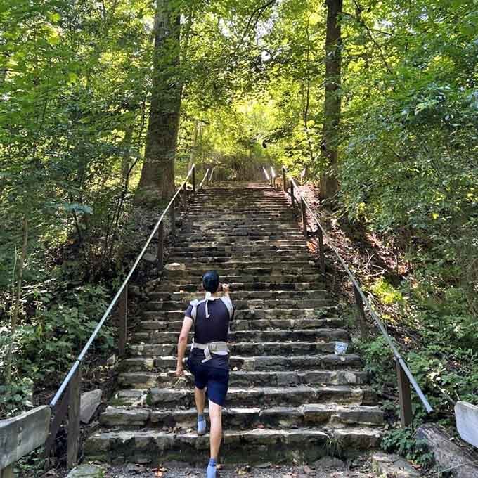 These rustic stairs climb toward filtered sunlight like a stairway to heaven, minus the Led Zeppelin soundtrack.