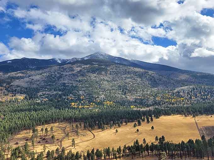 Autumn splashes gold across the San Francisco Peaks hillside, a color show that costs absolutely nothing.