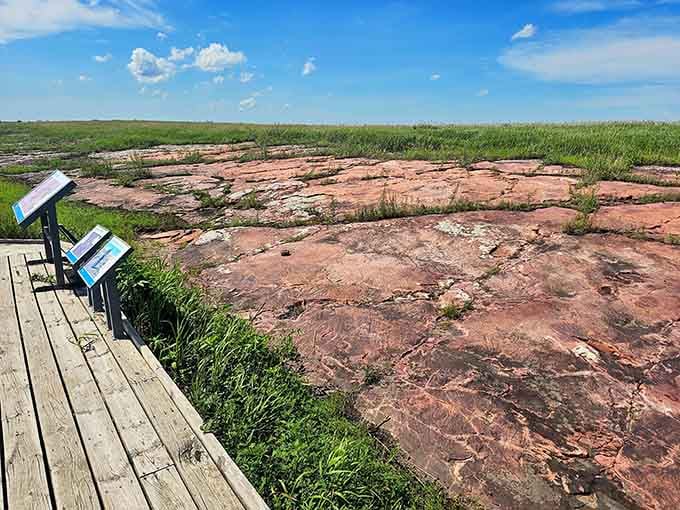 A weathered boardwalk leads you straight to rock carvings that make 7,000 years feel surprisingly close.