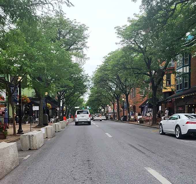 Mature trees shade the sidewalks where browsing boutiques and cafes is the main event of the day.