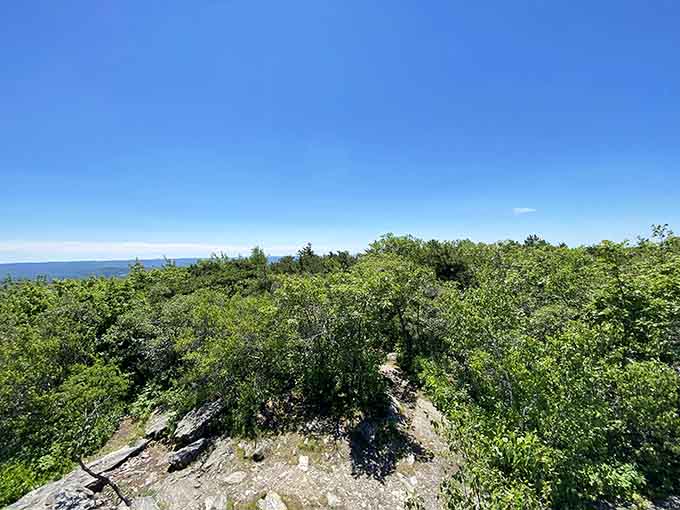 Standing on exposed rock with nothing but open sky and rolling green stretching endlessly before you — breathtaking.