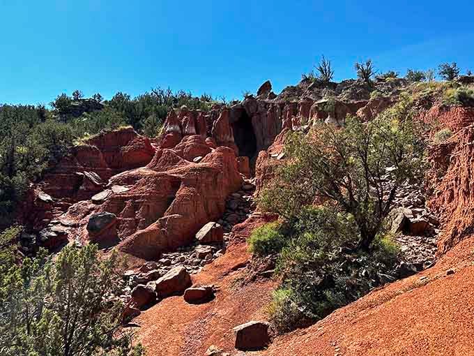 Red canyon walls reveal millions of years in colorful layers, creating a geological textbook written in stone and time.