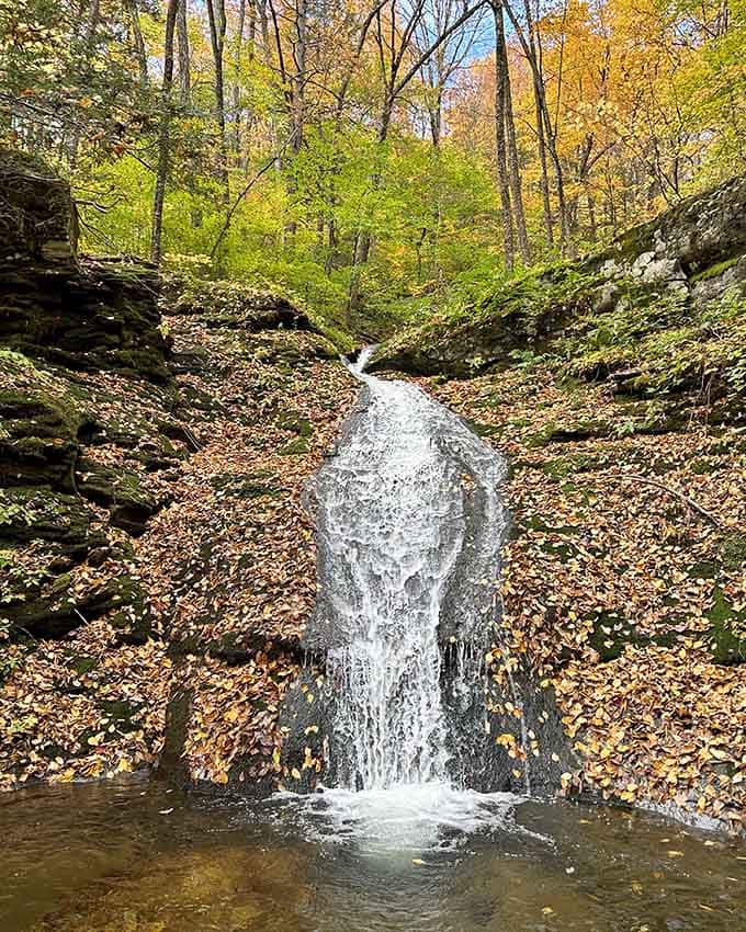 A slender waterfall spilling through golden autumn leaves proves that Peekamoose saves its most dramatic performance for fall.