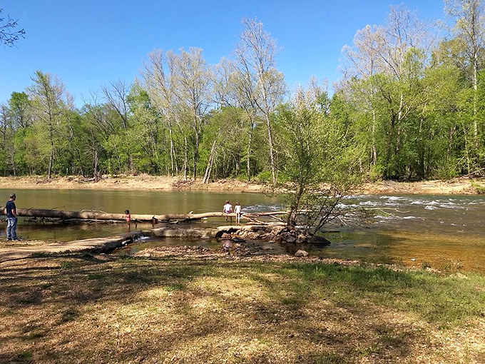 Two people perched on a fallen log watching the river rush by, living their best unplugged life.
