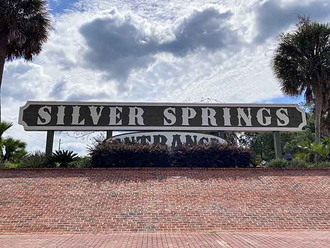The classic Silver Springs entrance sign stands proud, welcoming visitors to one of Florida's original natural attractions since forever.