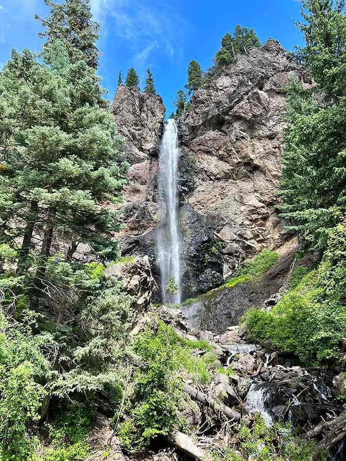 Summer green surrounds Treasure Falls on all sides, making this Wolf Creek Pass stop feel like stumbling onto a hidden forest reward.