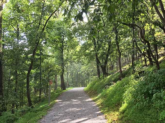 Dappled summer light pours through a lush green canopy overhead, turning this gravel path into the most peaceful tunnel you'll ever walk through.