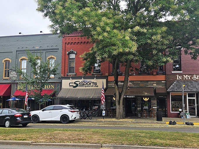 Mature trees soften the streetscape while brick storefronts keep their vintage appeal, balancing nature and commerce perfectly.