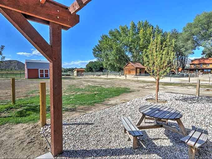 The backyard stretches toward mountains and pastures, where your new fuzzy friends spend their days being adorable.