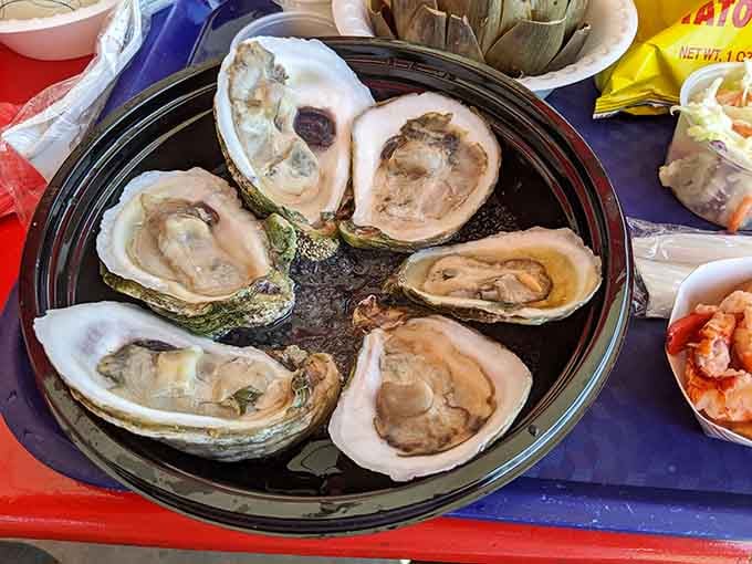 Six oysters on the half shell, fresh and briny, sitting there like little gifts from the sea just waiting to be opened.