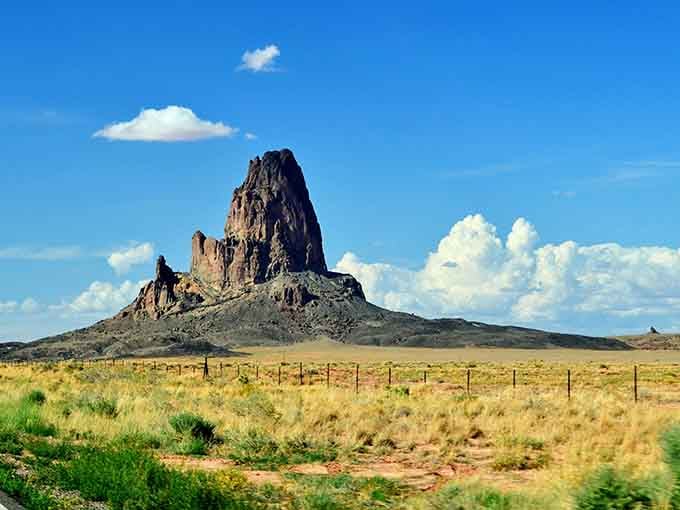 Summer greens transform the high desert into something surprisingly lush, proving Arizona has more than one look.