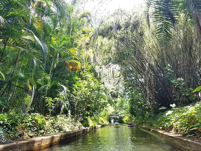 Kayakers gliding through a lush green tunnel of palms and Spanish moss. Winter Park's waterways are their own kind of magic.