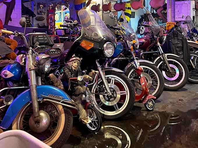 A lineup of motorcycles so impressive, even the little stuffed monkey riding one looks genuinely thrilled.