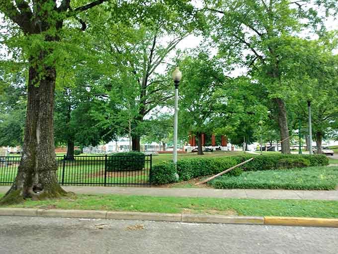 Towering old trees shade Zinn Park like nature's own cathedral, offering cool refuge on warm Alabama afternoons.