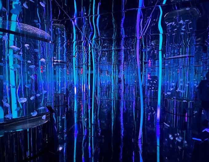 The jellyfish infinity room looks like someone bottled the Northern Lights and filled it with the ocean's most ethereal creatures.