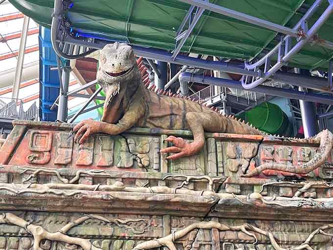 That lizard has seen things. Mostly people screaming down water slides, and he approves completely.