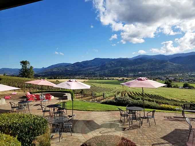 Vineyard views like this one remind you that southern Oregon's wine country is criminally underrated and absolutely worth the detour.