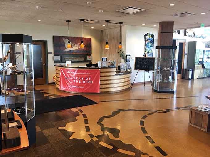 The visitor center interior blends education with comfort, featuring bird silhouettes in the floor that won't fly away mid-photo.