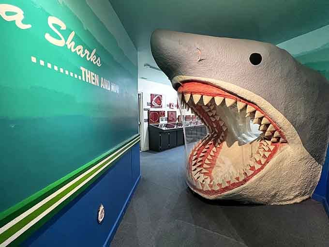 Walk right into the jaws of prehistoric history, and yes, everyone absolutely needs this photo on their wall.