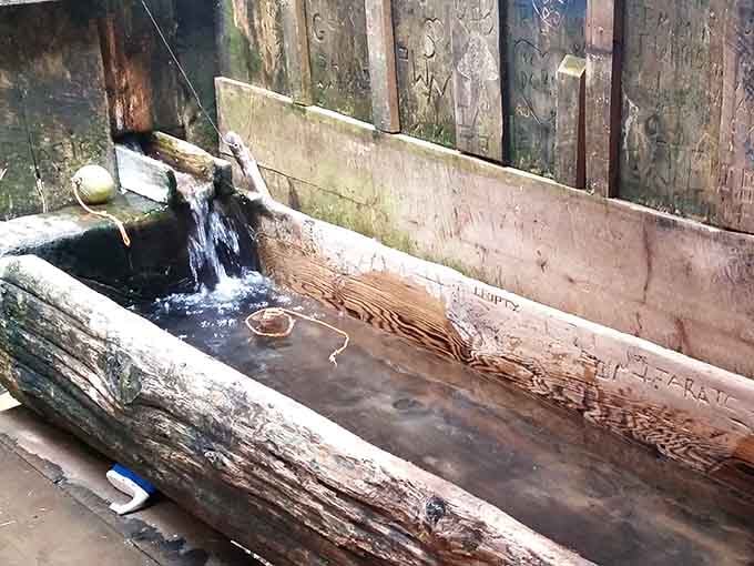 Hot spring water cascades into a hand-hewn cedar trough, ancient and unhurried and absolutely perfect.